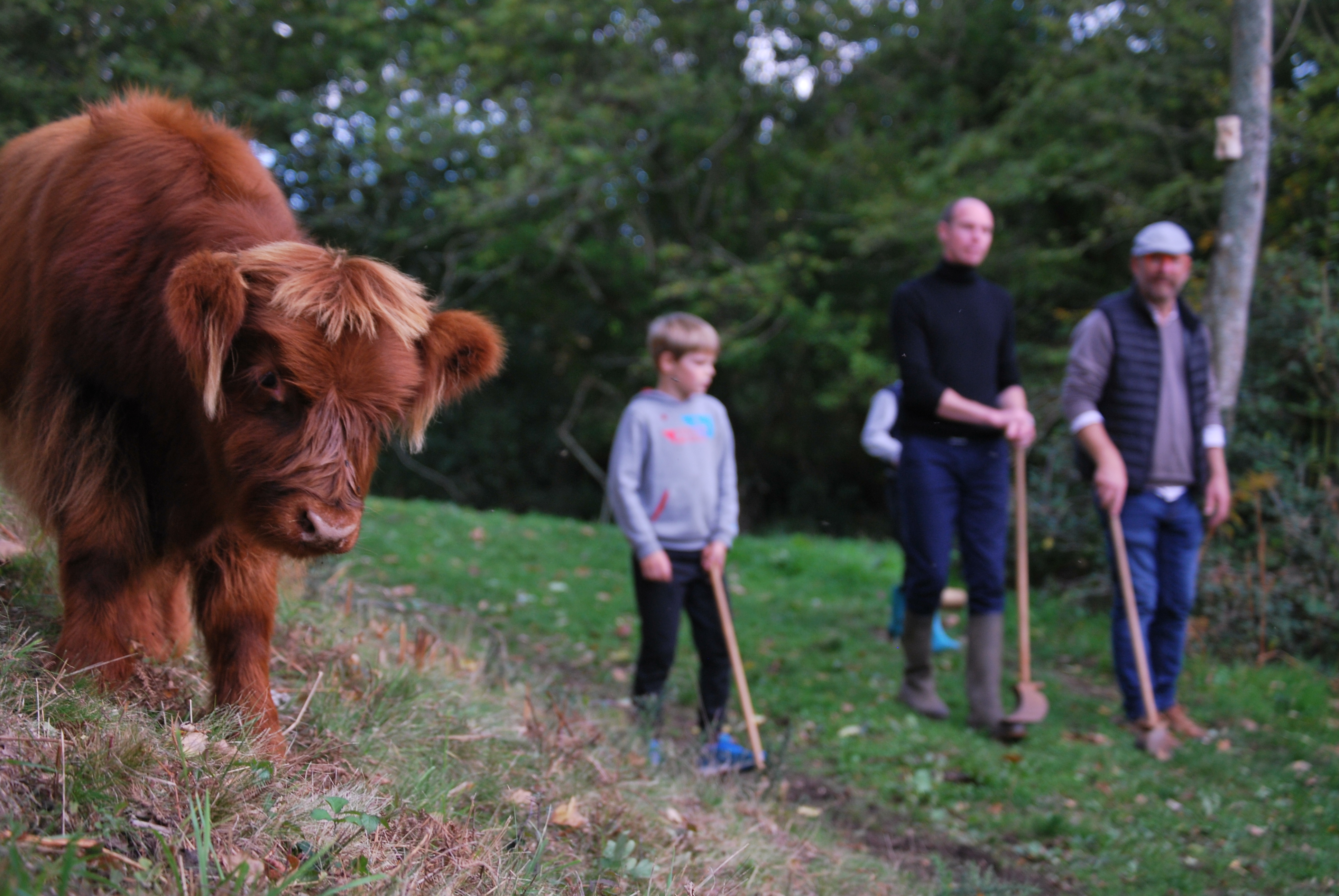 Golf Paysan – la Ferme aux 5 Saisons